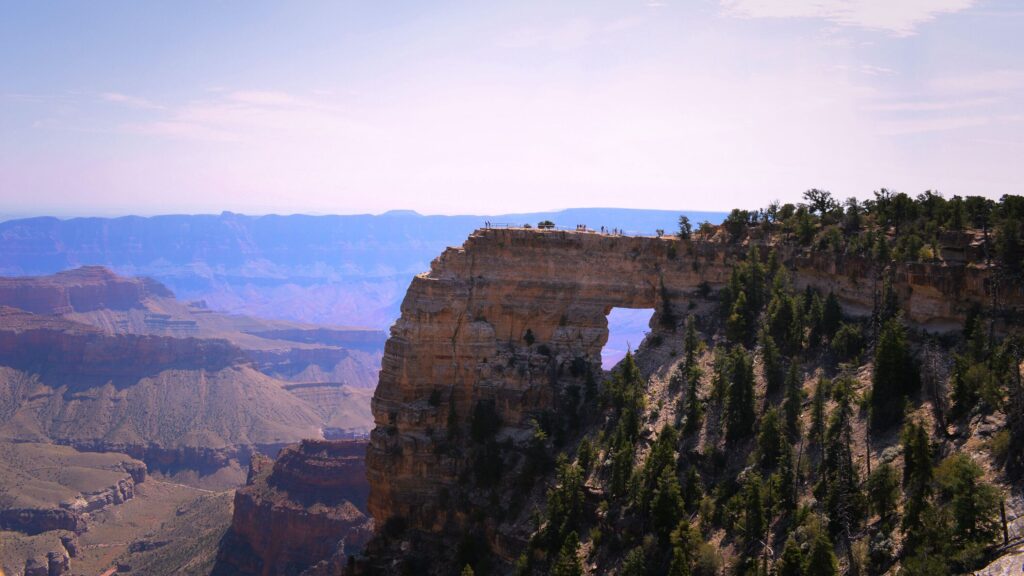 Which Grand Canyon Rim is Best to Visit? A Guide to the South, North ...