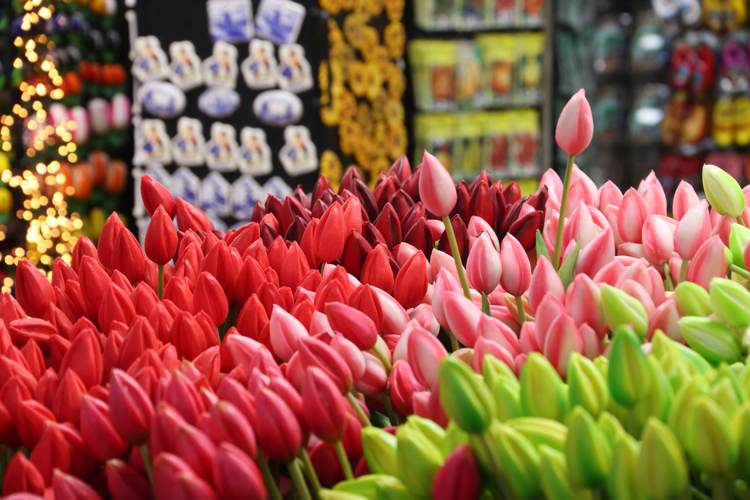 Things to do in Amsterdam | Gray Line Worldwide