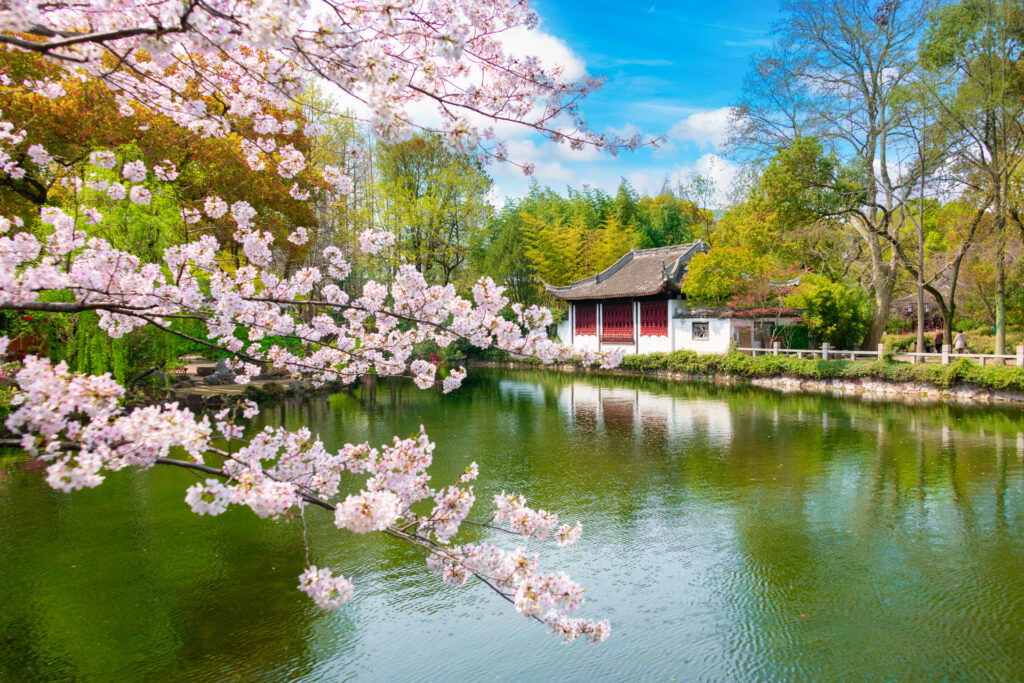 Spring Flowers Around the World: Best Places to See Blooms in Amsterdam ...
